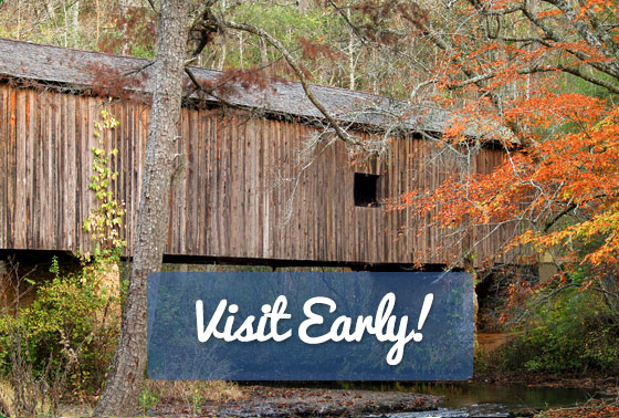 Home - City Of Blakely, Georgia