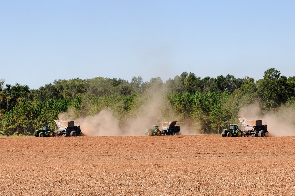 blakely-georgia-tractor-fields City Of Blakely, Georgia